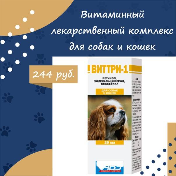 Виттри 1 для кошек: инструкция и показания к применению, отзывы, цена