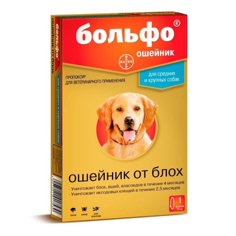 Больфо для собак: показания и инструкция по применению, отзывы, цена